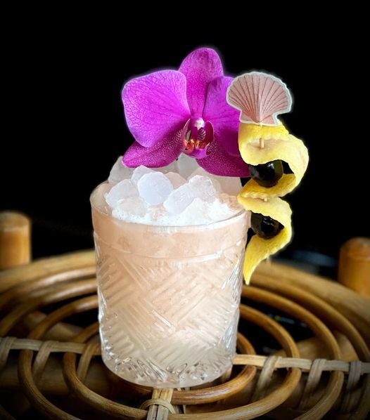 Humuhumunukunukuapua`a – Elevated Craft